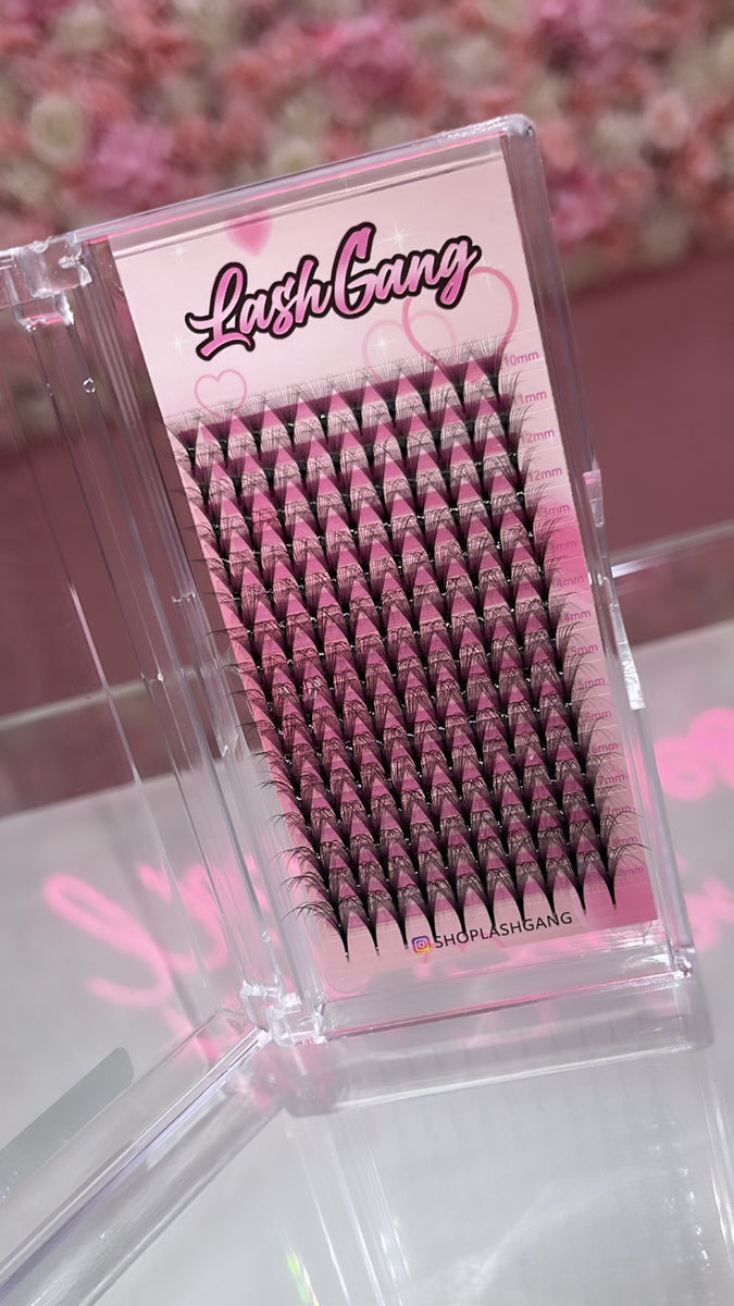 Pre Made Fans – Shop Lash Gang